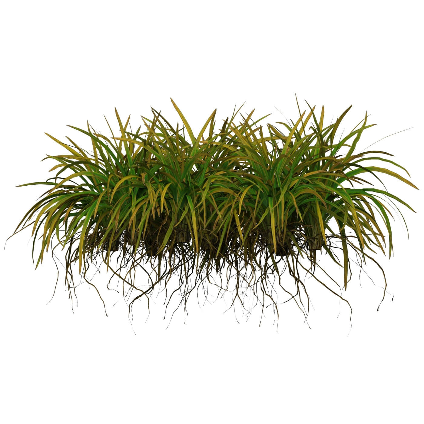 Game Ready Grass 03 - 3D Model by TreeWorld3d