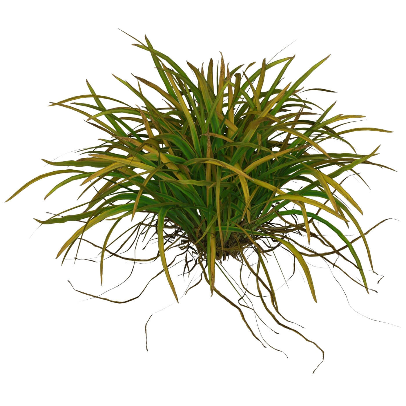 Game Ready Grass 04 - 3D Model by TreeWorld3d