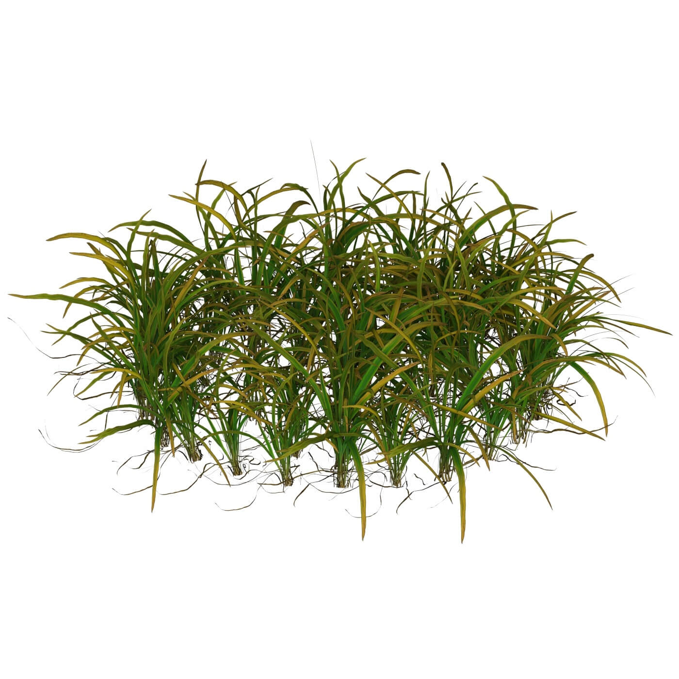 Game Ready Grass 05 - 3D Model by TreeWorld3d