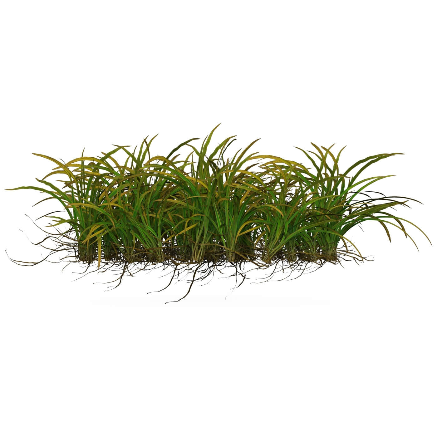 Game Ready Grass 05 - 3D Model by TreeWorld3d