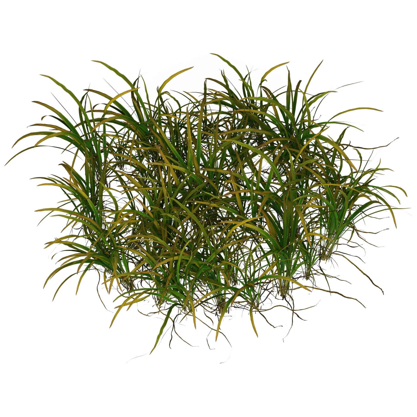 Game Ready Grass 05 - 3D Model by TreeWorld3d