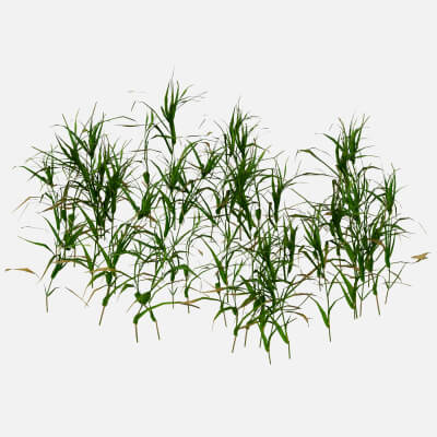 Game Ready Grass 06 - 3D Model by TreeWorld3d