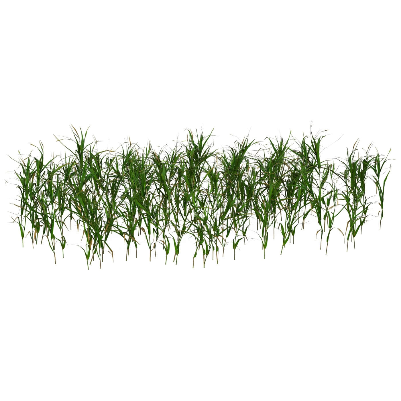 Game Ready Grass 07 - 3D Model by TreeWorld3d