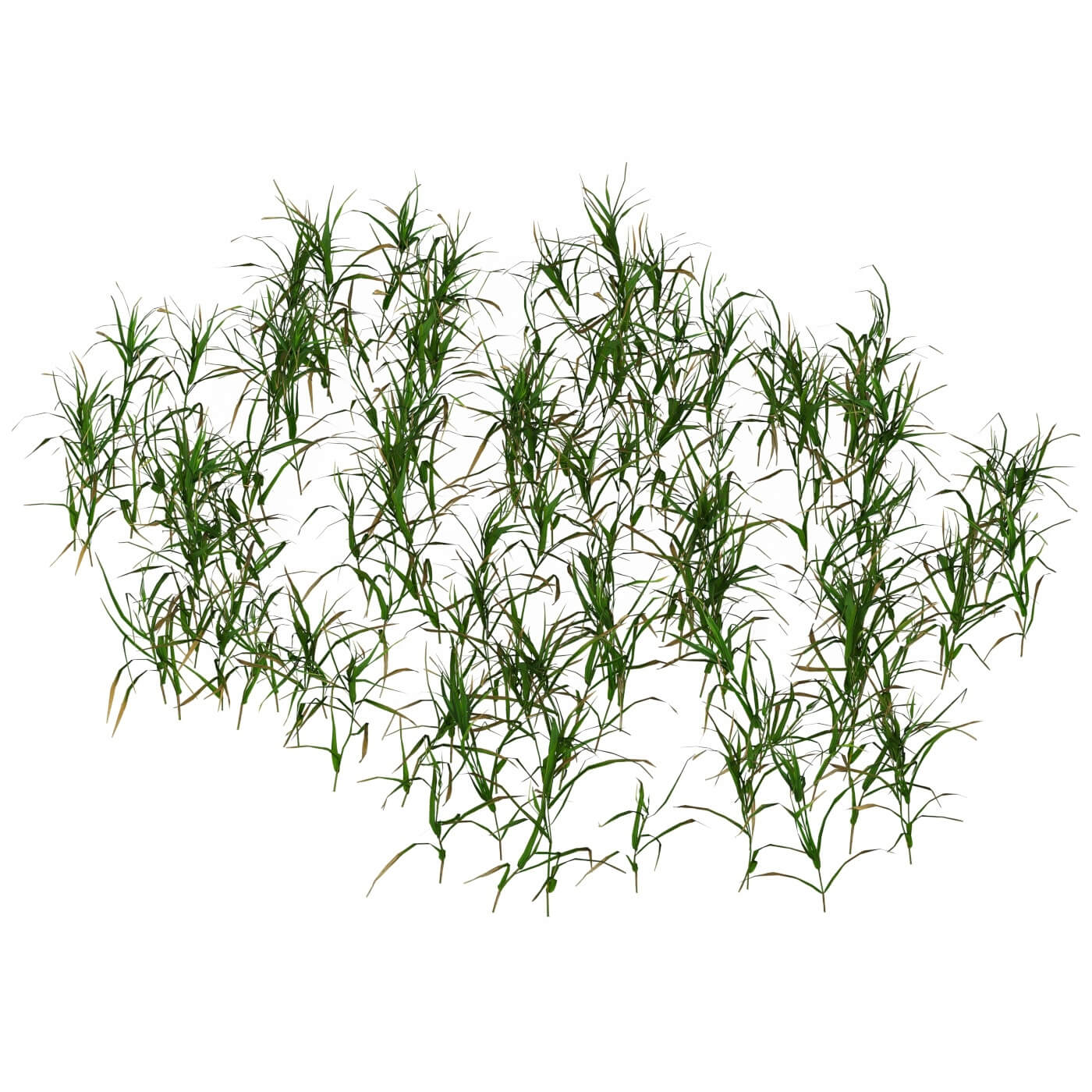 Game Ready Grass 07 - 3D Model by TreeWorld3d