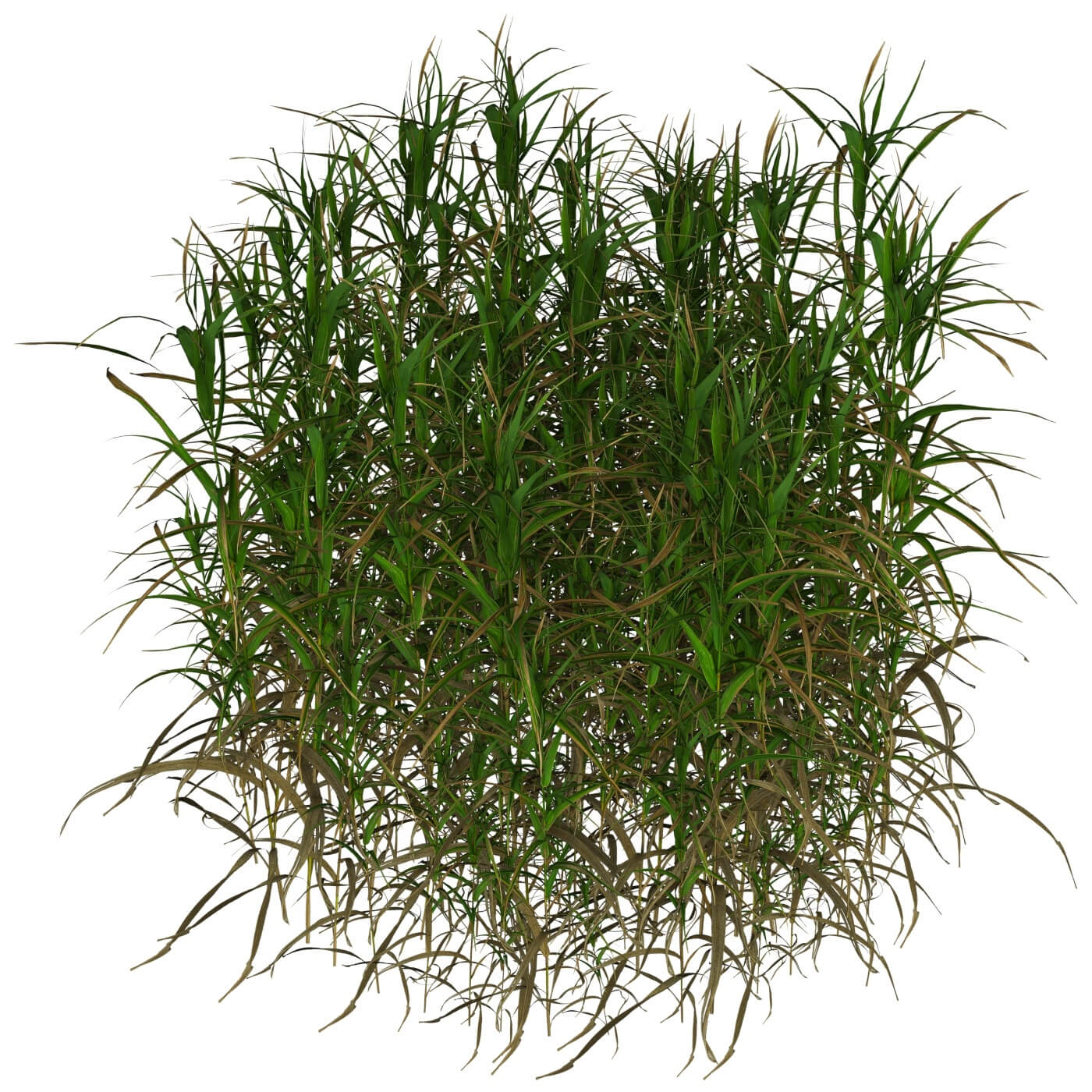 Game Ready Grass 08 - 3D Model by TreeWorld3d