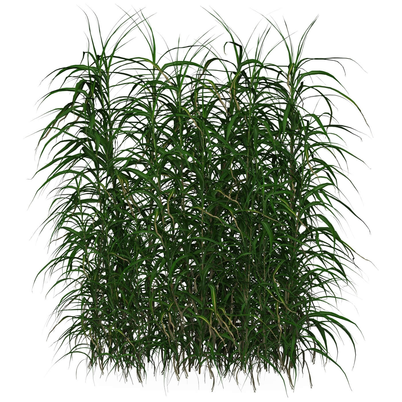 Game Ready Grass 09 - 3D Model by TreeWorld3d