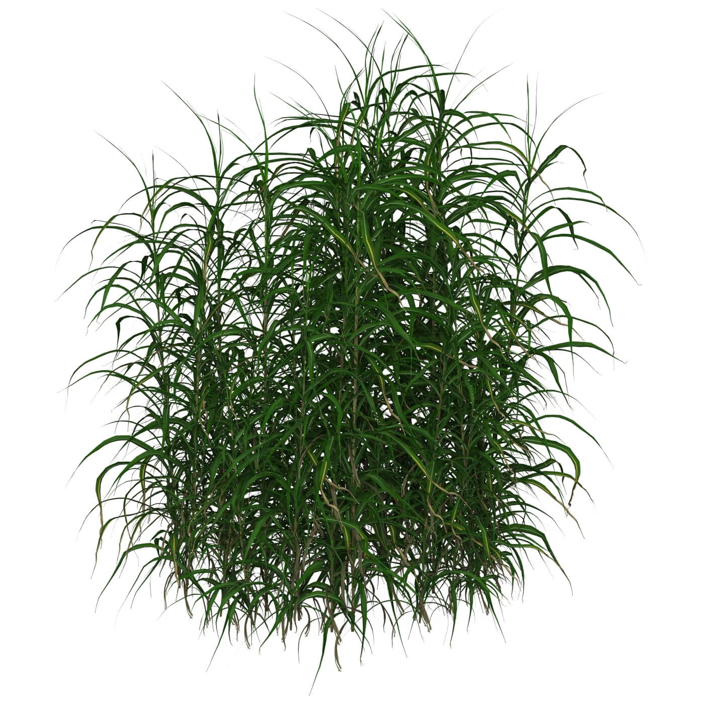 Game Ready Grass 09 - 3D Model by TreeWorld3d