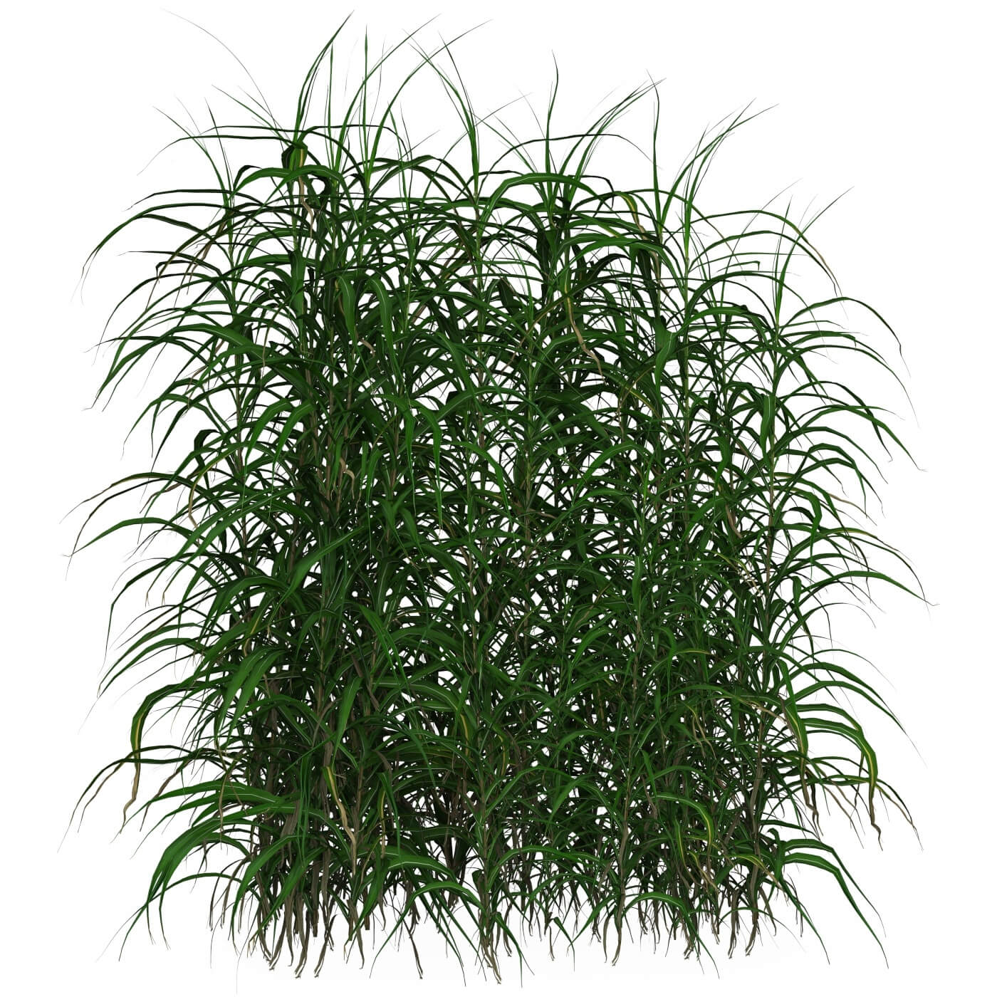 Game Ready Grass 09 - 3D Model by TreeWorld3d