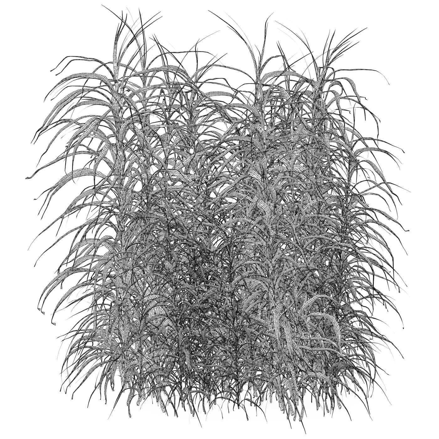 Game Ready Grass 09 - 3D Model by TreeWorld3d