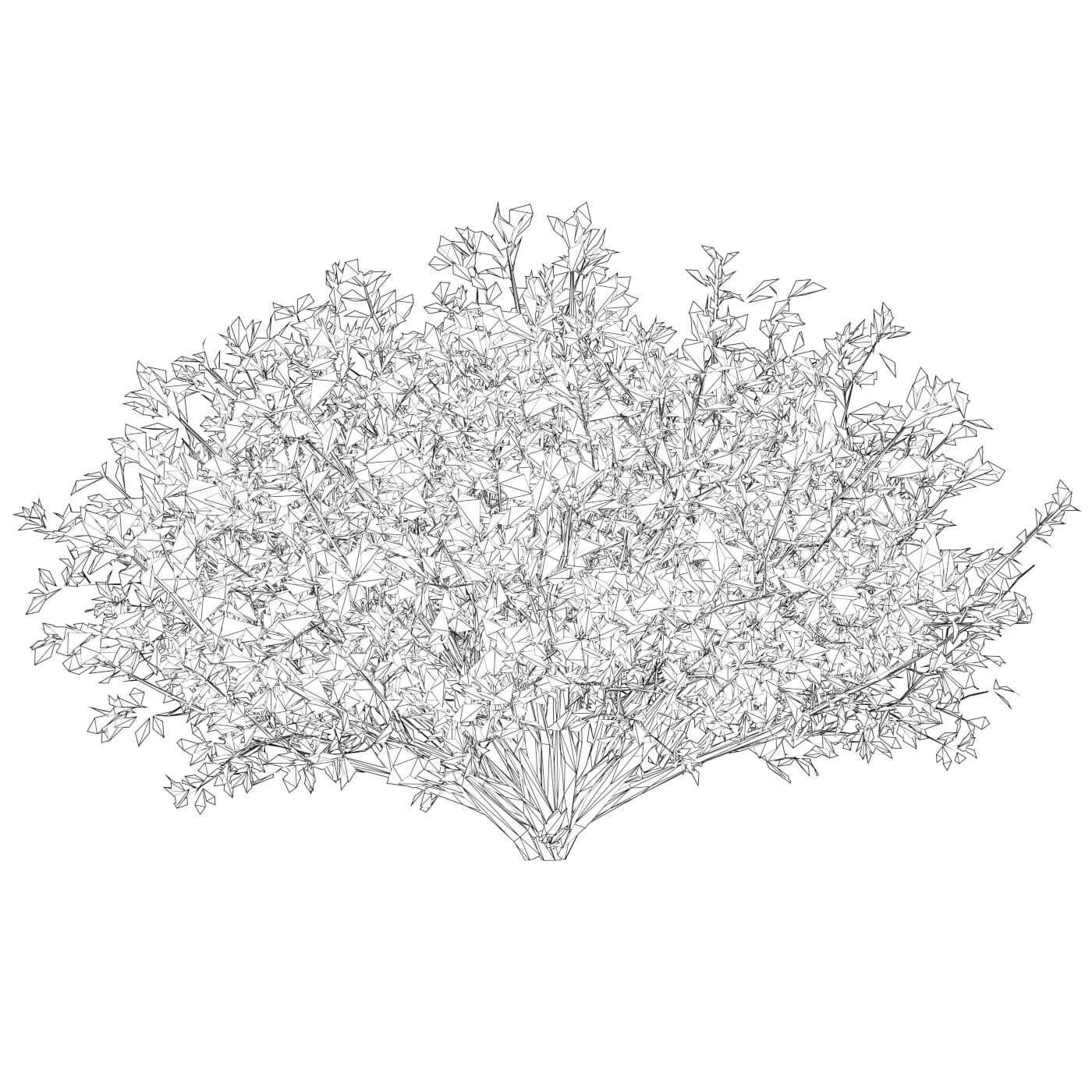 Game Ready Plant Bush 01 - 3D Model by TreeWorld3d