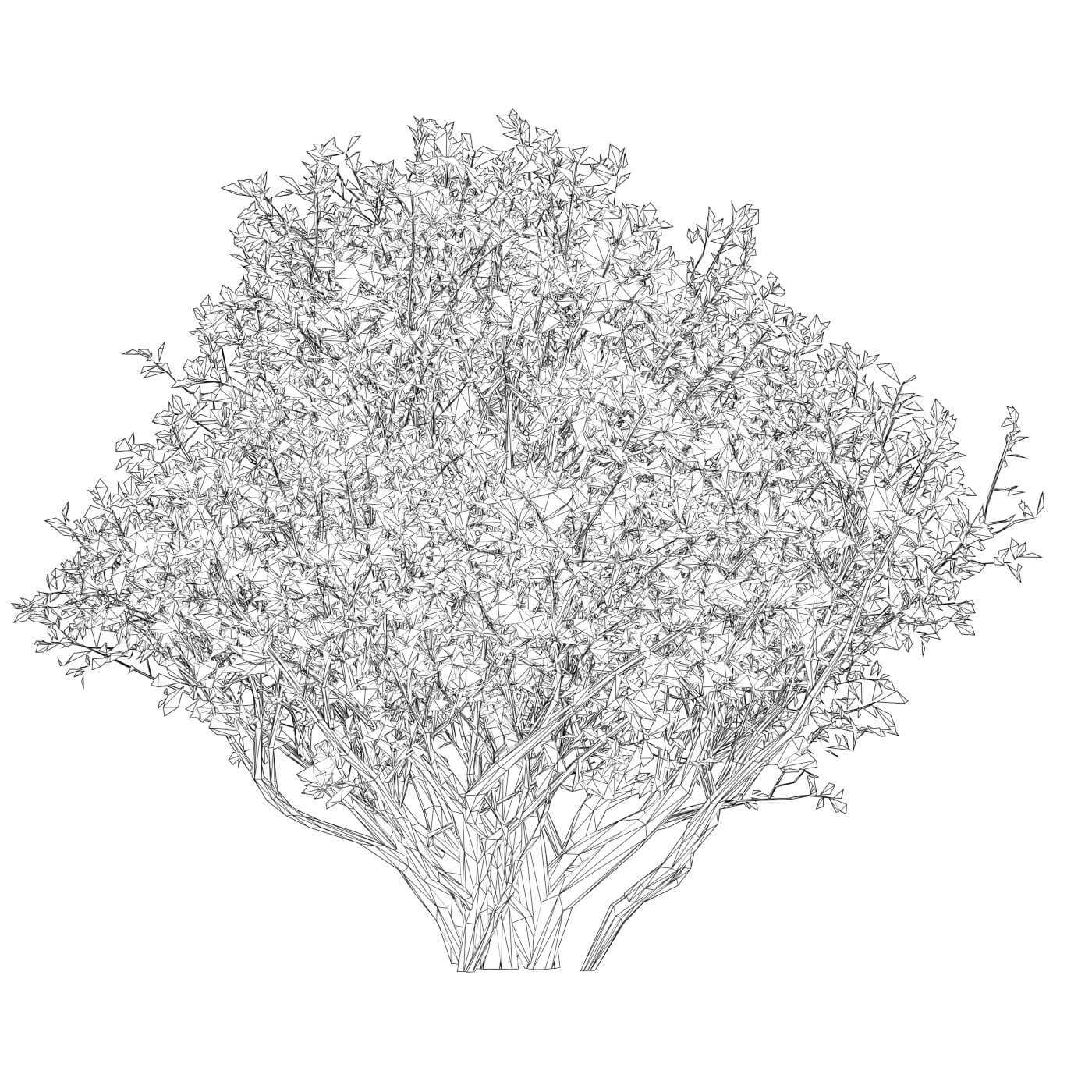 Game Ready Plant Bush 02 - 3D Model by TreeWorld3d