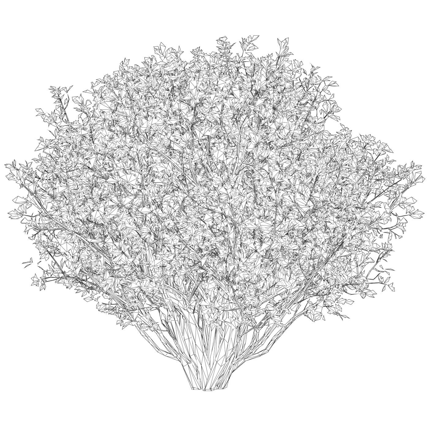 Game Ready Plant Bush 04 - 3D Model by TreeWorld3d