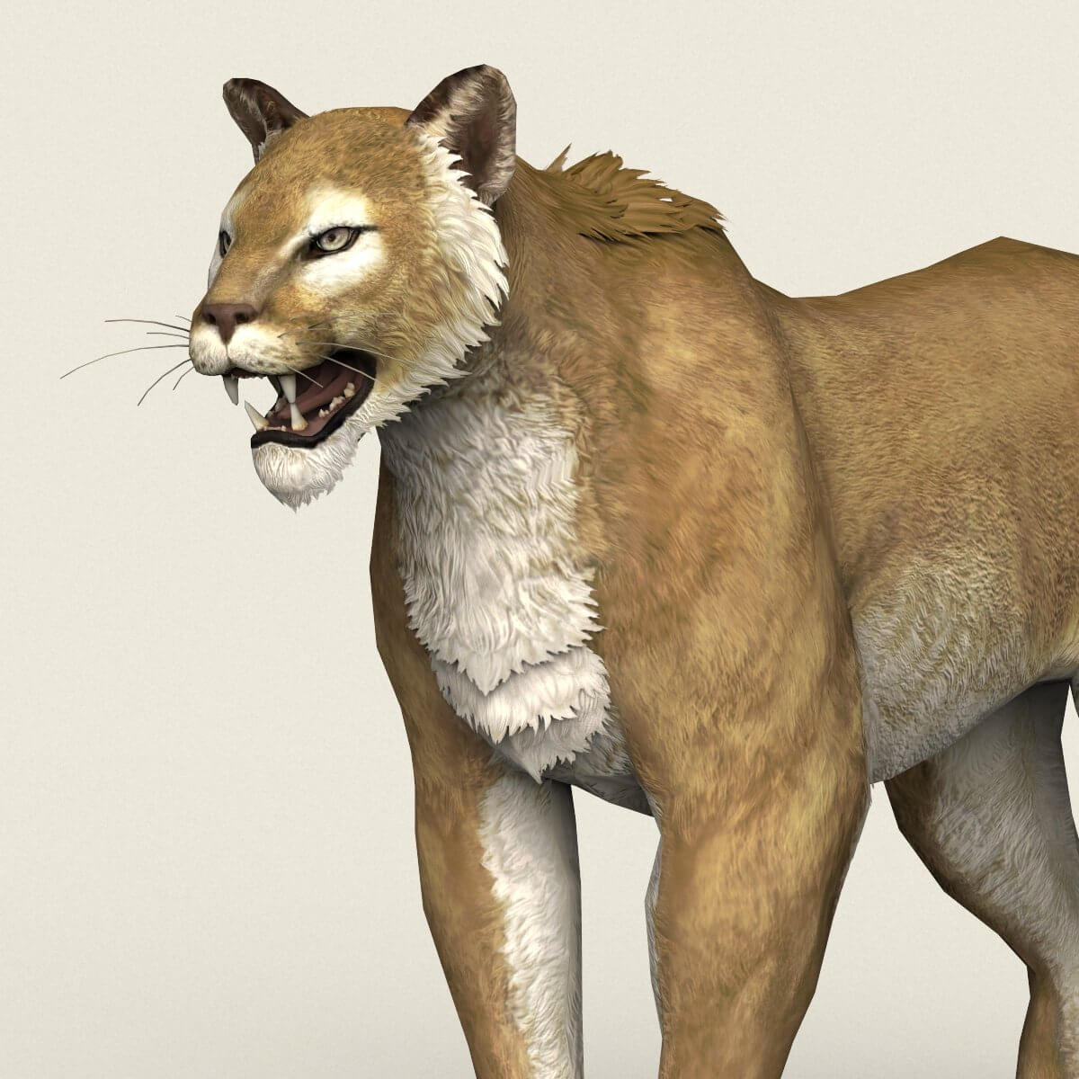 Puma - 3D Model by TreeWorld3d