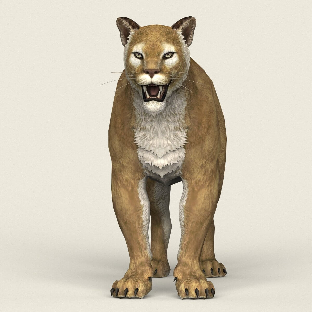 Puma - 3D Model by TreeWorld3d
