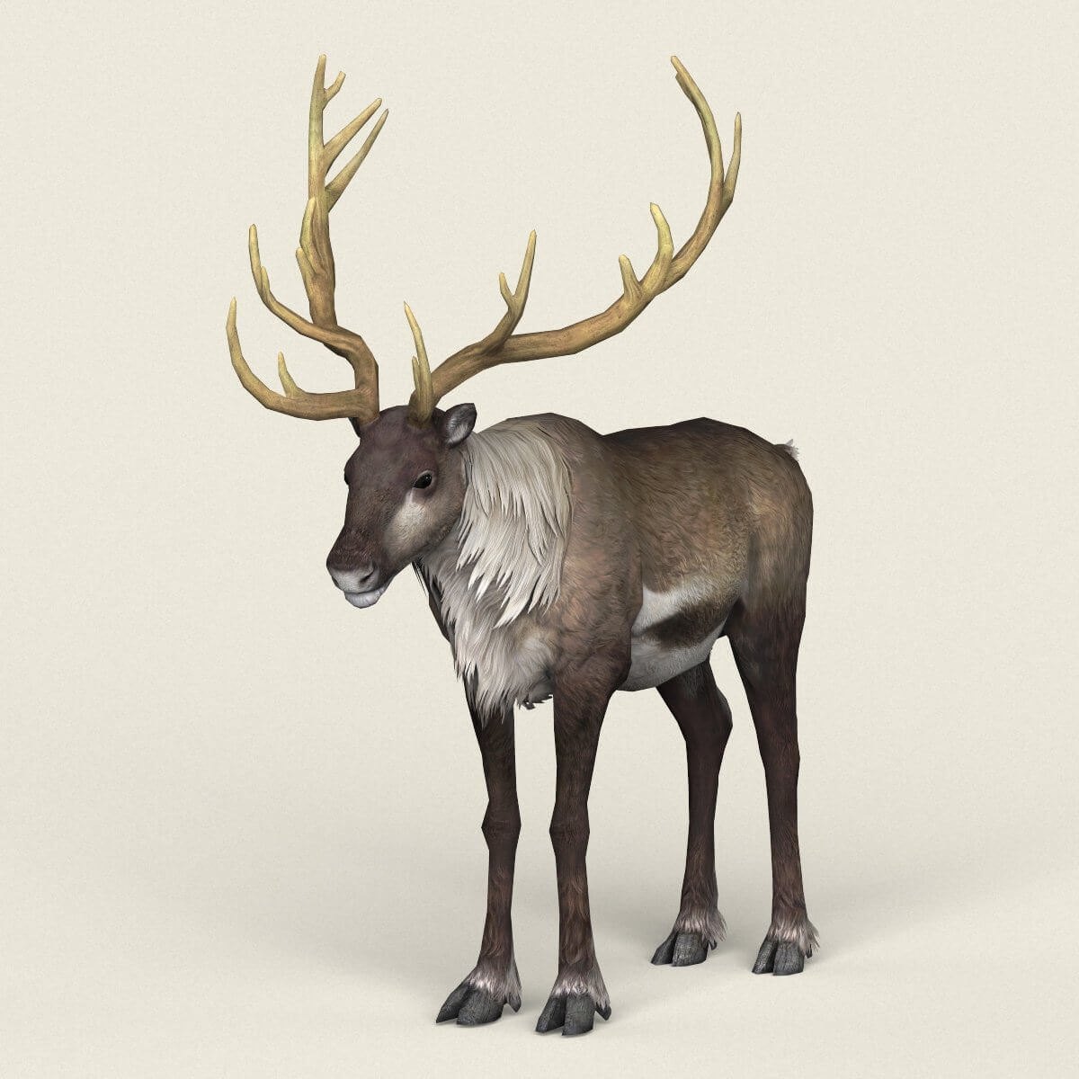 Reindeer - 3D Model by TreeWorld3d