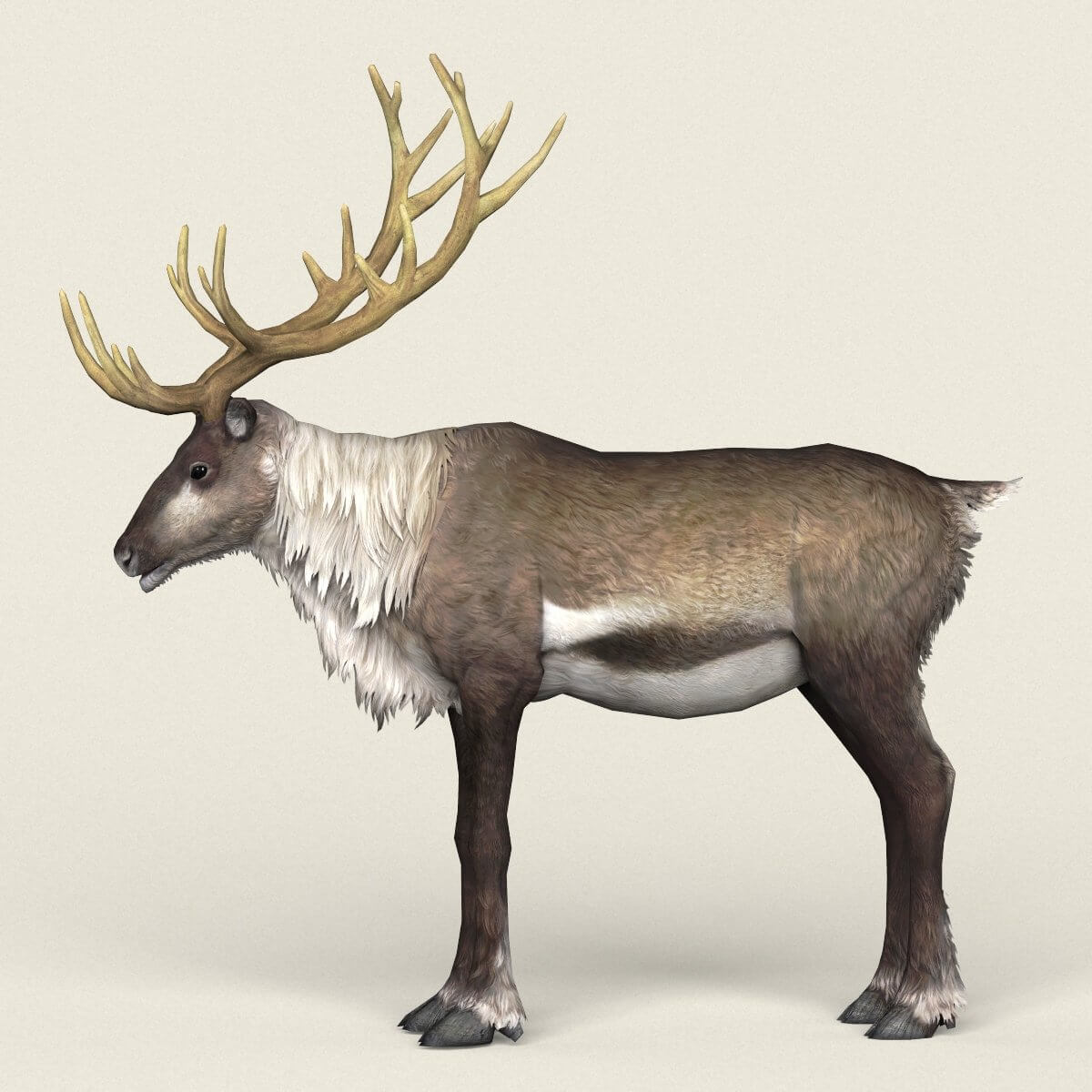 Reindeer - 3D Model by TreeWorld3d