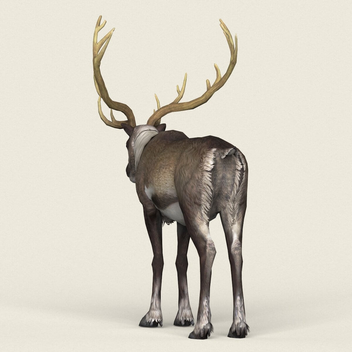 Reindeer - 3D Model by TreeWorld3d