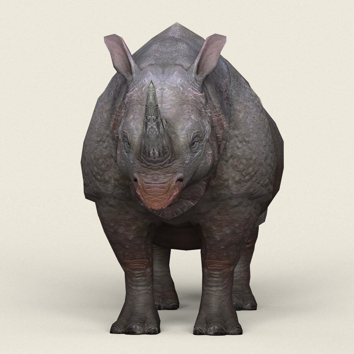 Rhinoceros - 3D Model by TreeWorld3d