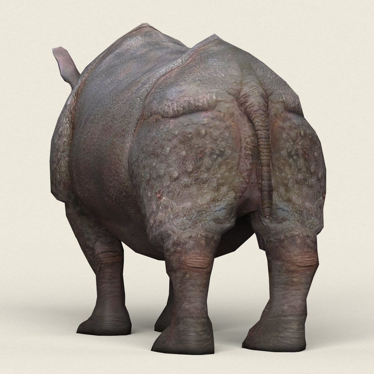 Rhinoceros - 3D Model by TreeWorld3d
