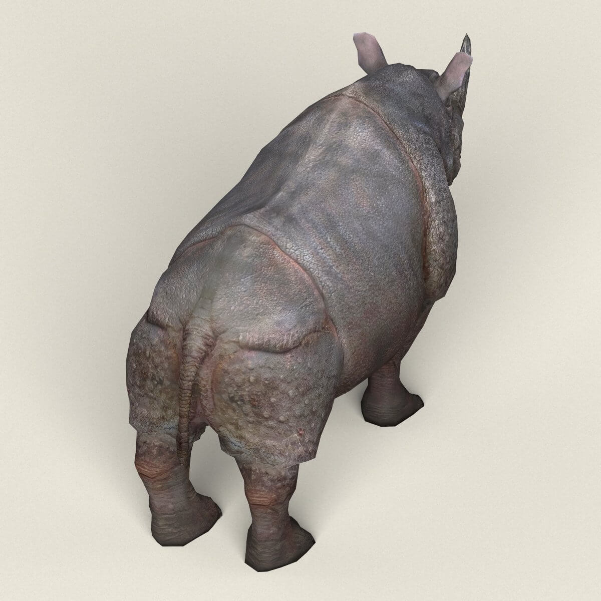 Rhinoceros - 3D Model by TreeWorld3d