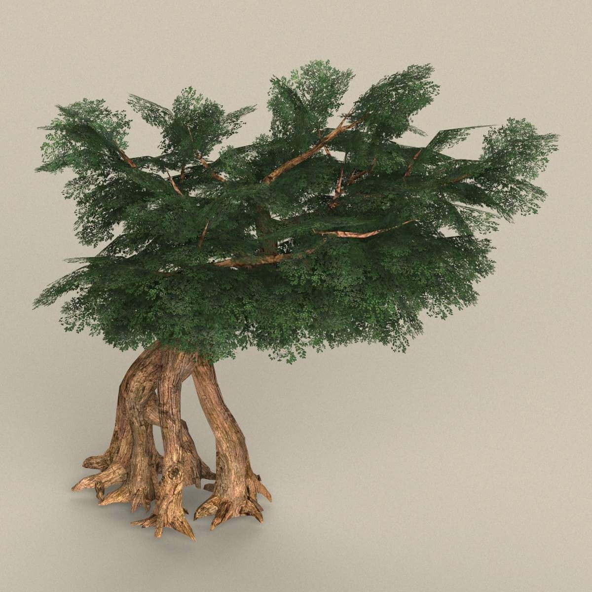 Tree 04 3D Model