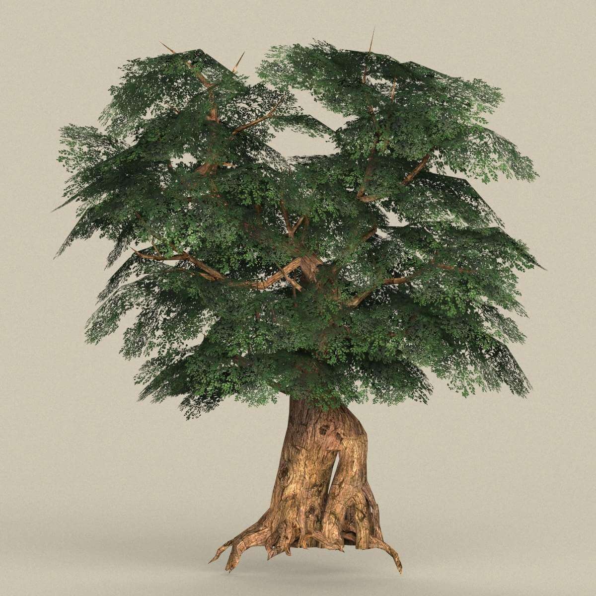 Tree 05 - 3D Model by TreeWorld3d