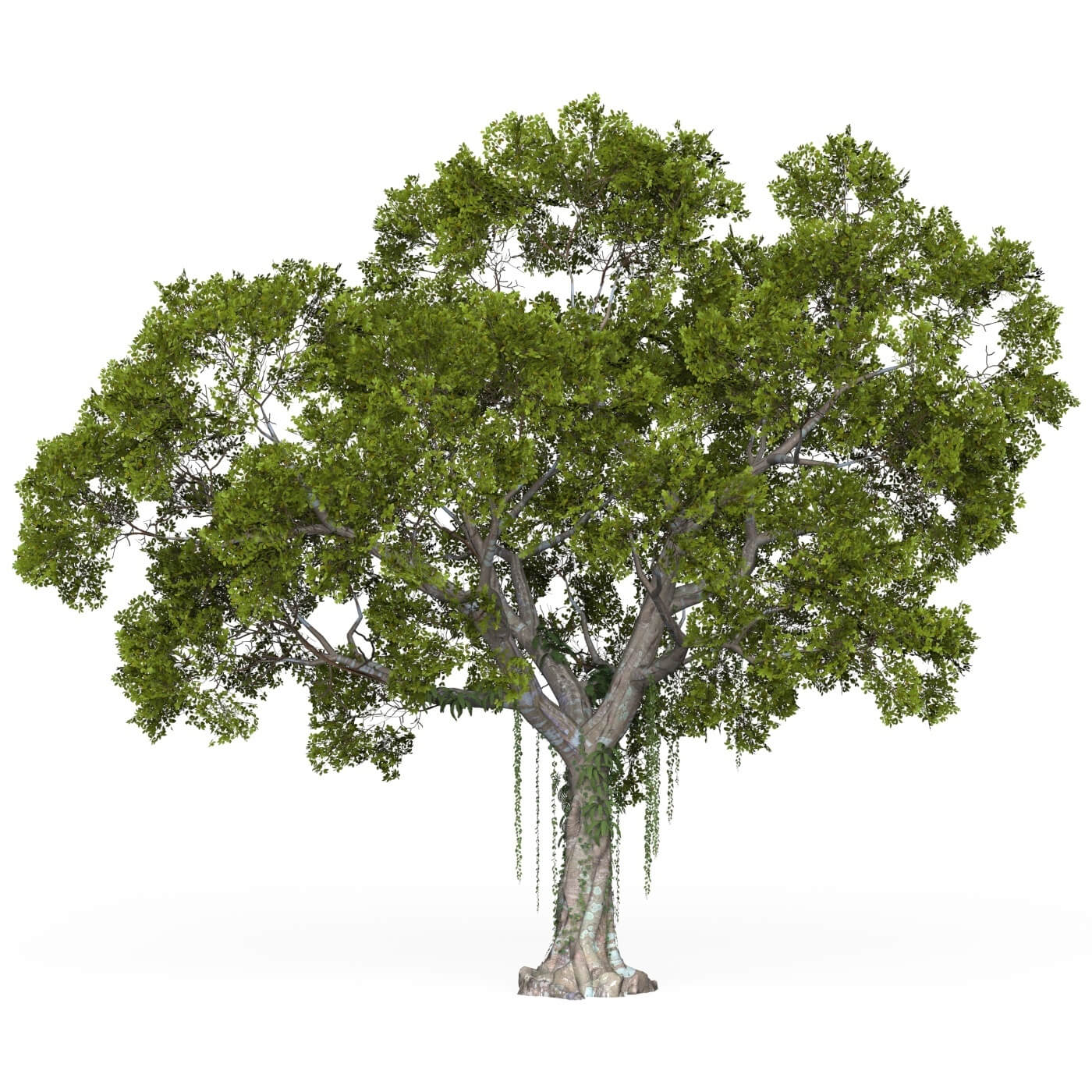 Game Ready Tree 06 - 3D Model by TreeWorld3d
