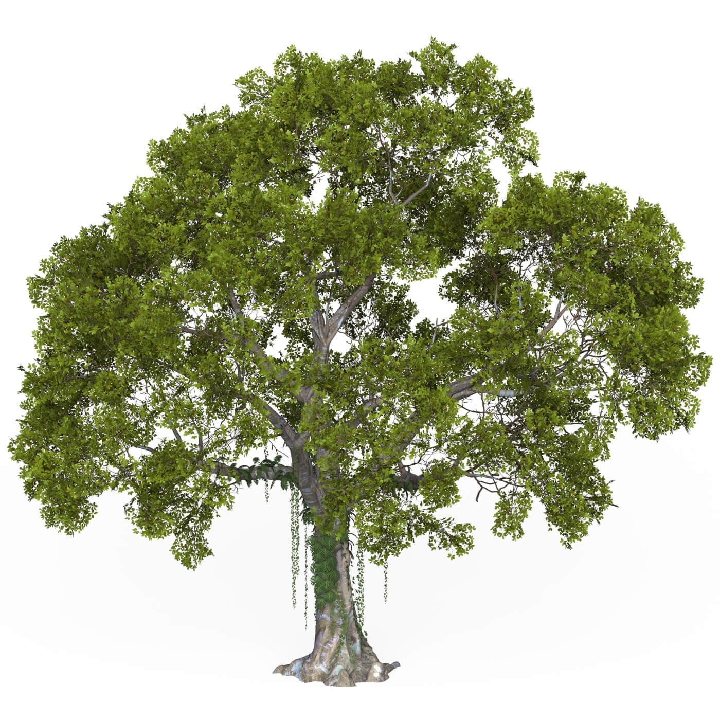 Game Ready Tree 06 - 3D Model by TreeWorld3d