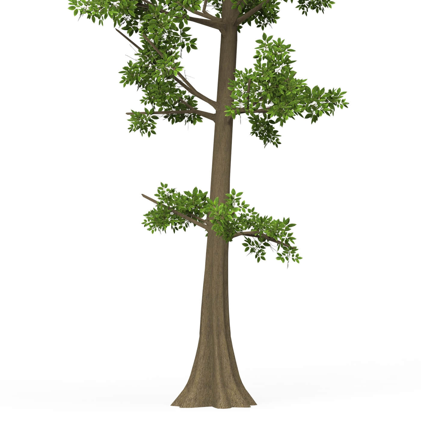 Game Ready Tree 08 - 3D Model by TreeWorld3d