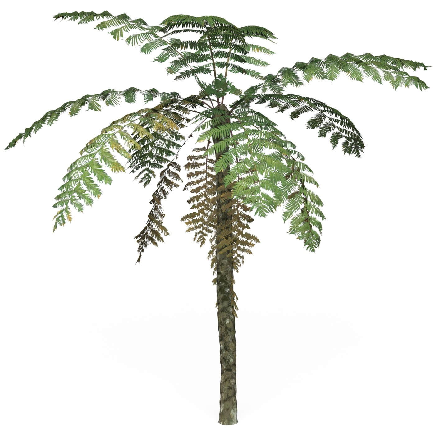 Game Ready Tree 08 - 3D Model by TreeWorld3d