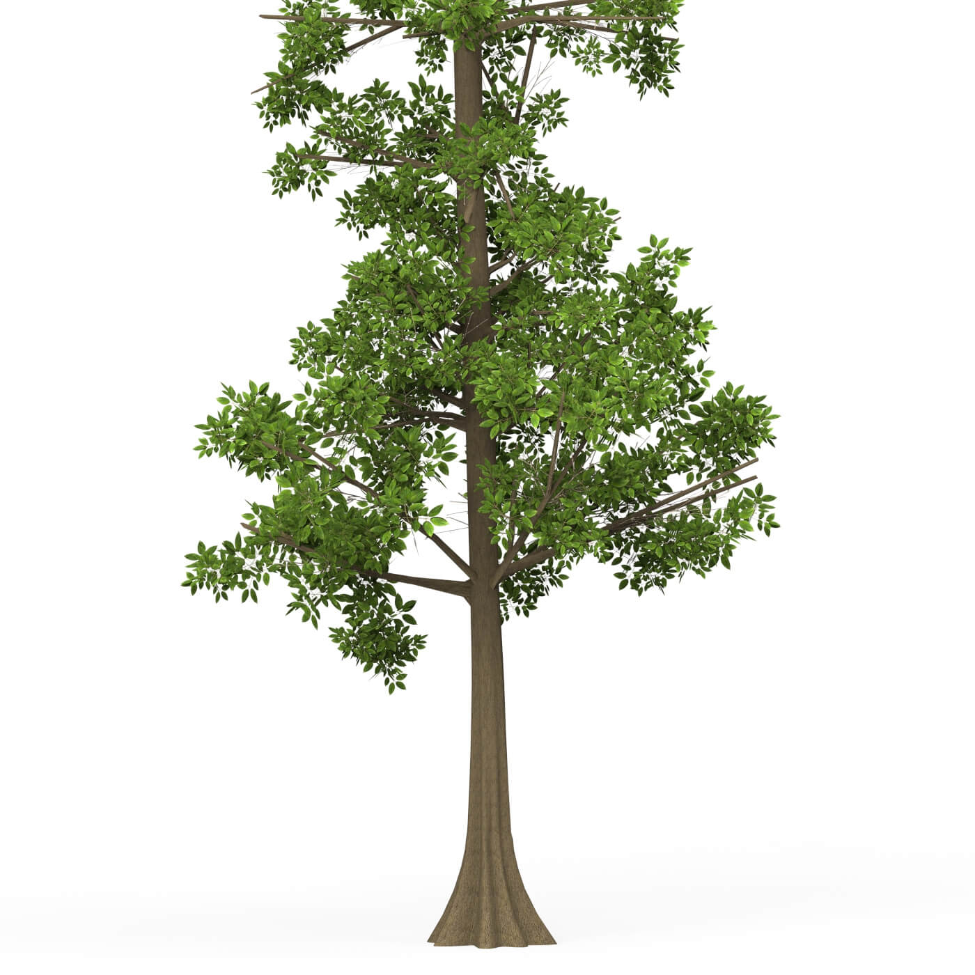 Game Ready Tree 09 - 3D Model by TreeWorld3d
