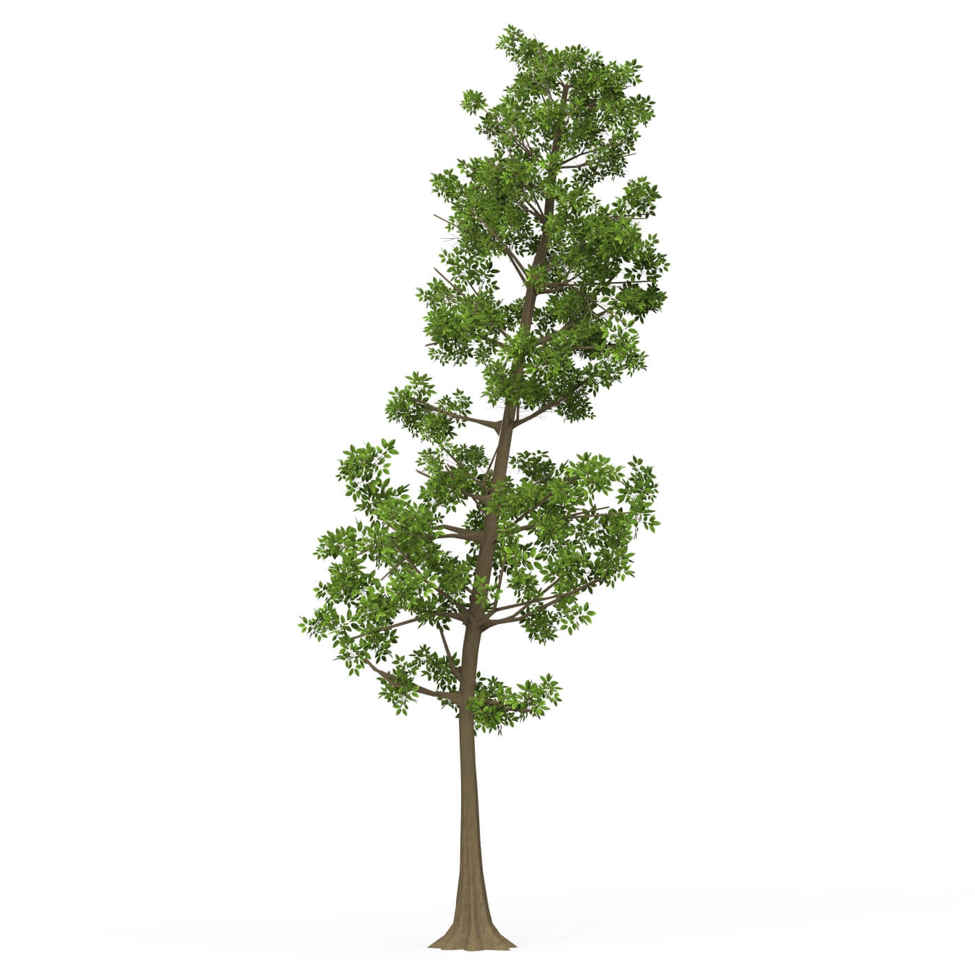 Game Ready Tree 10 - 3D Model by TreeWorld3d