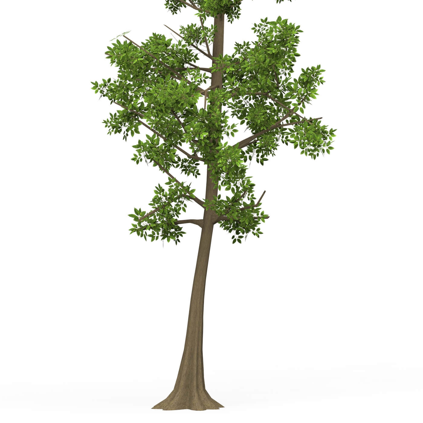 Game Ready Tree 10 - 3D Model by TreeWorld3d