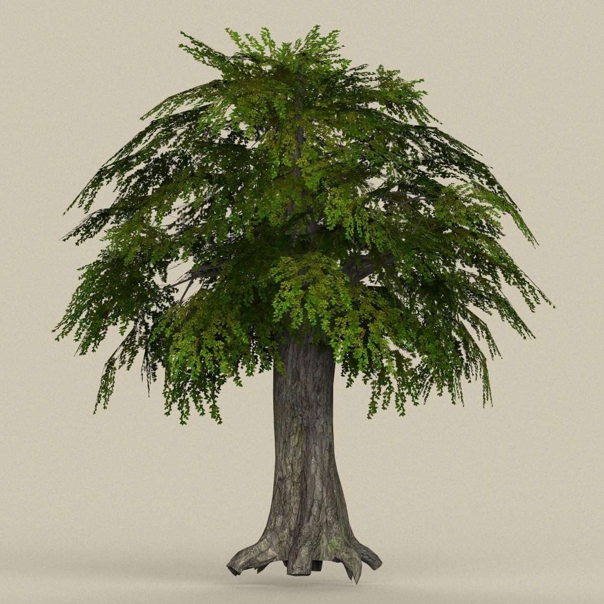 Tree 11 - 3D Model by TreeWorld3d