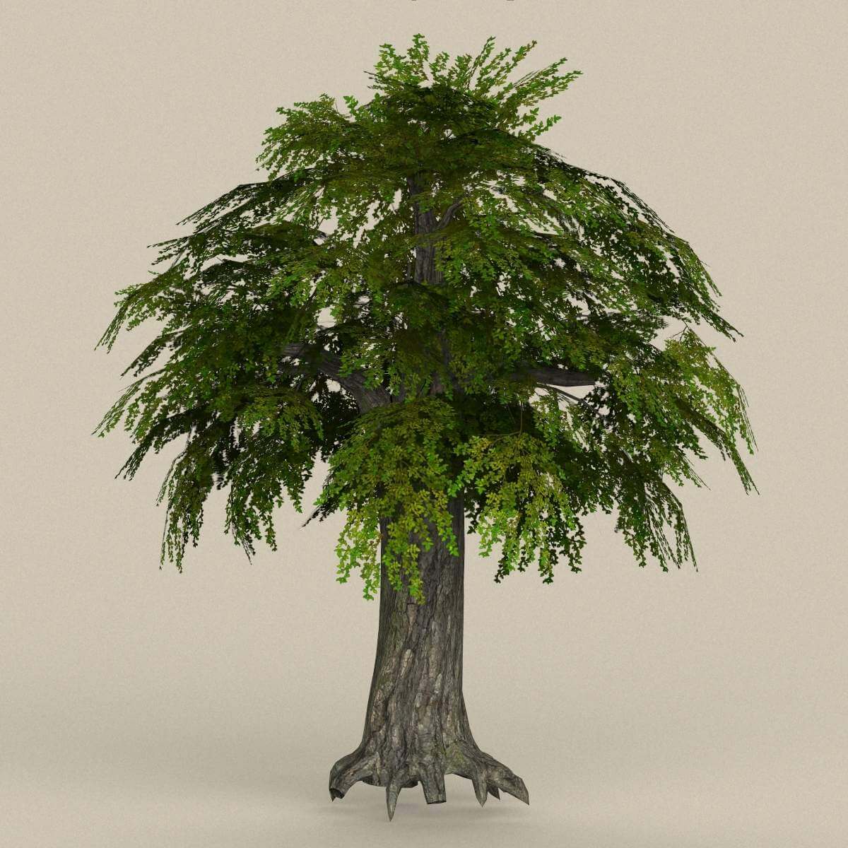 Tree 11 - 3D Model by TreeWorld3d