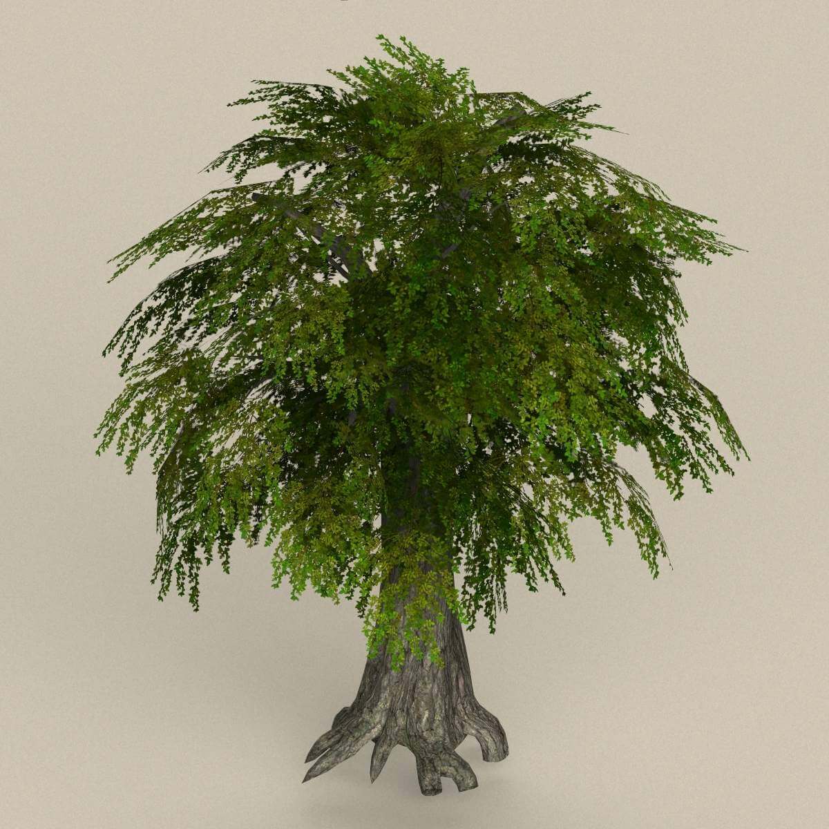 Tree 11 - 3D Model by TreeWorld3d