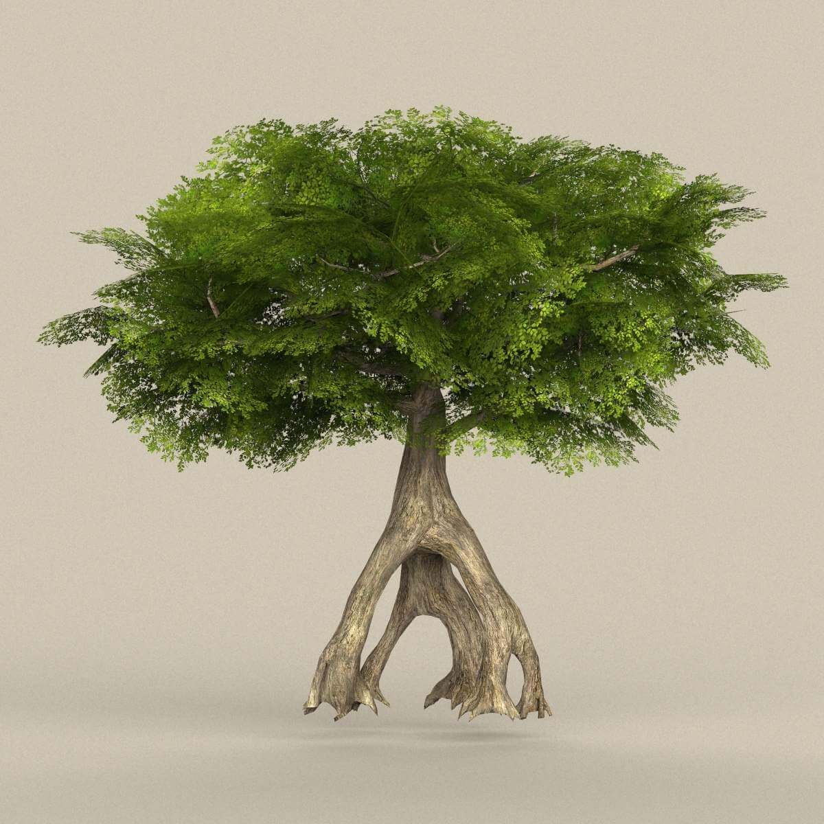 Tree 12 - 3D Model by TreeWorld3d