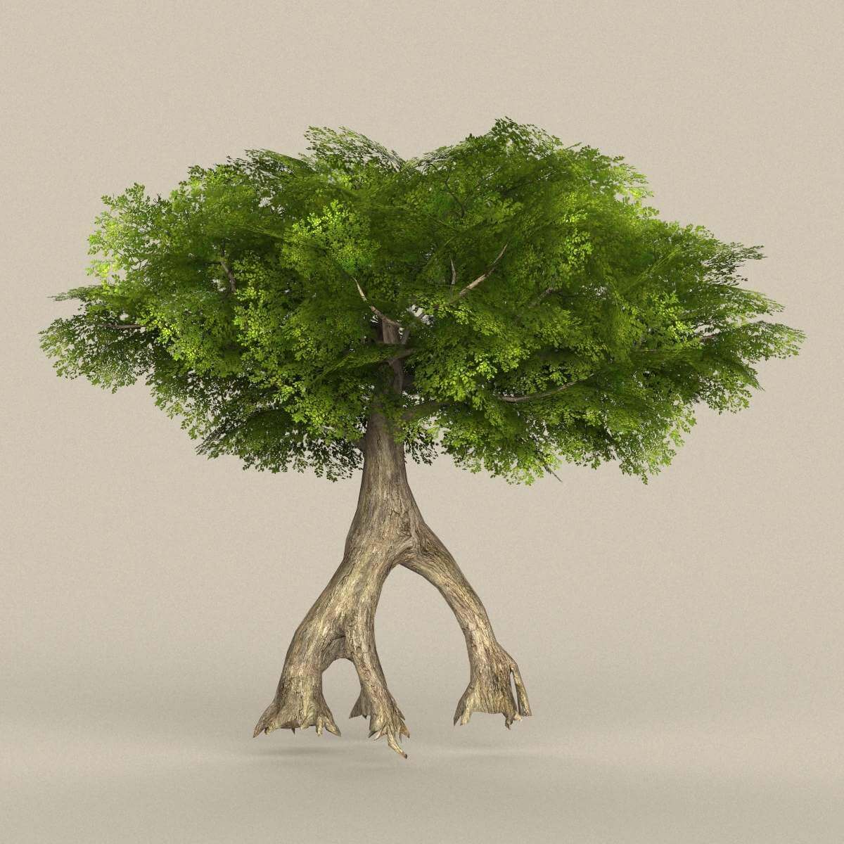 Tree 12 - 3D Model by TreeWorld3d