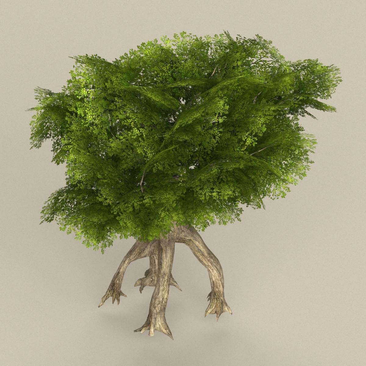 Tree 12 - 3D Model by TreeWorld3d