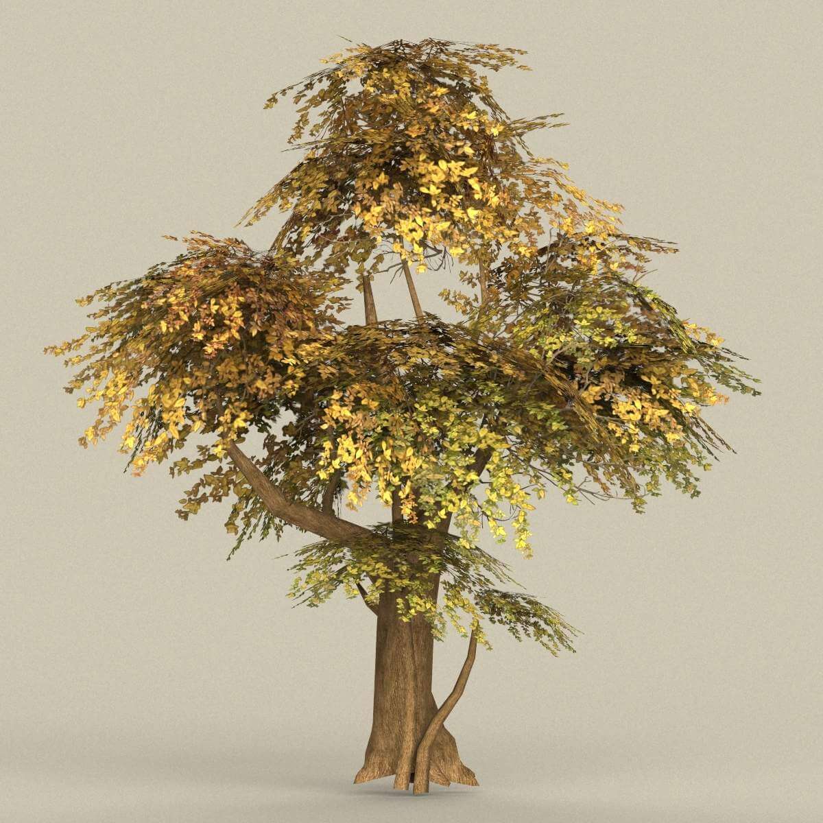 Tree 13 - 3D Model by TreeWorld3d