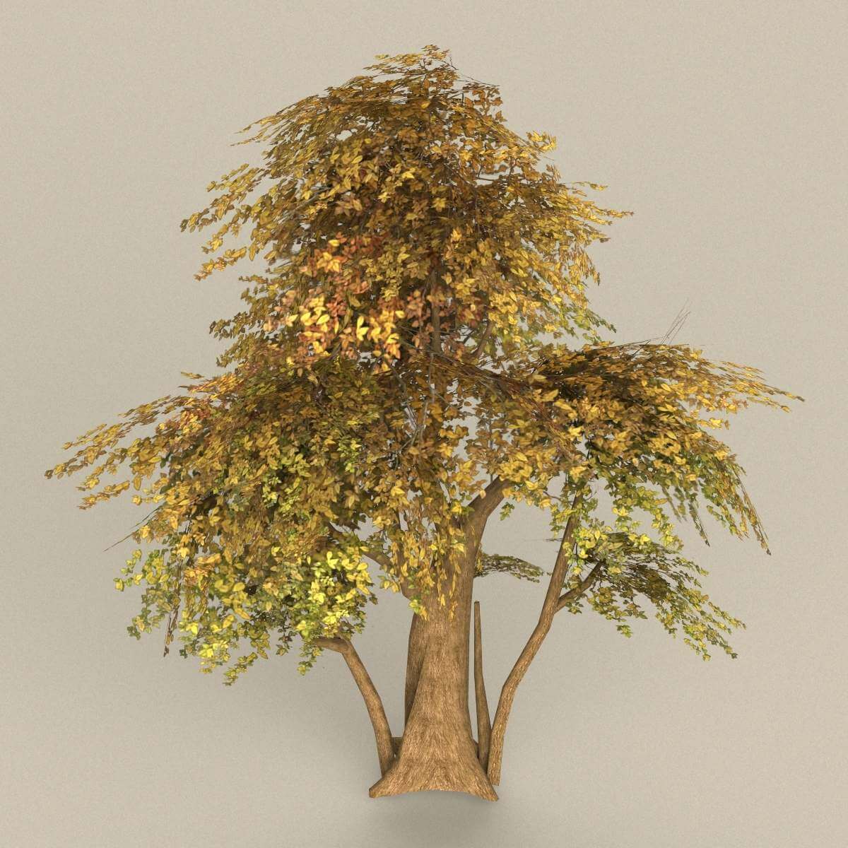 Tree 13 - 3D Model by TreeWorld3d