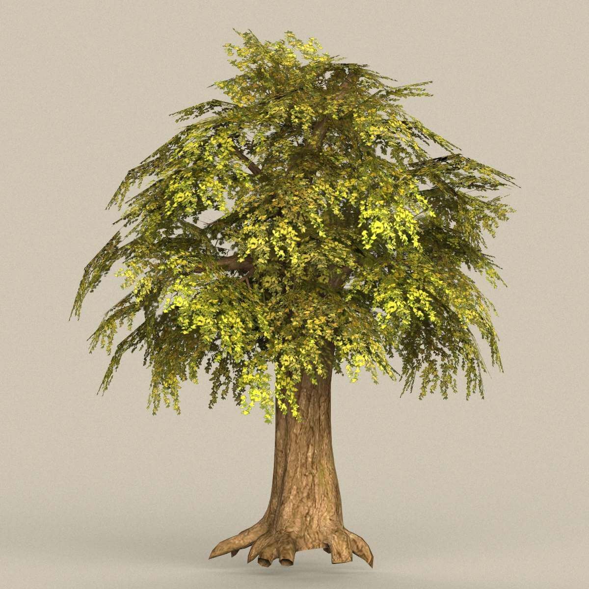 Tree 15 - 3D Model by TreeWorld3d