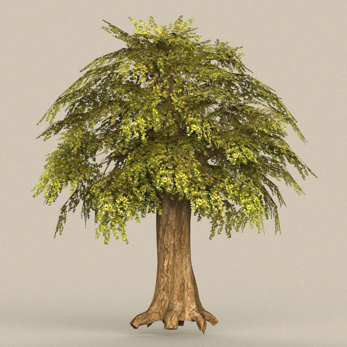 Tree 15 - 3D Model by TreeWorld3d