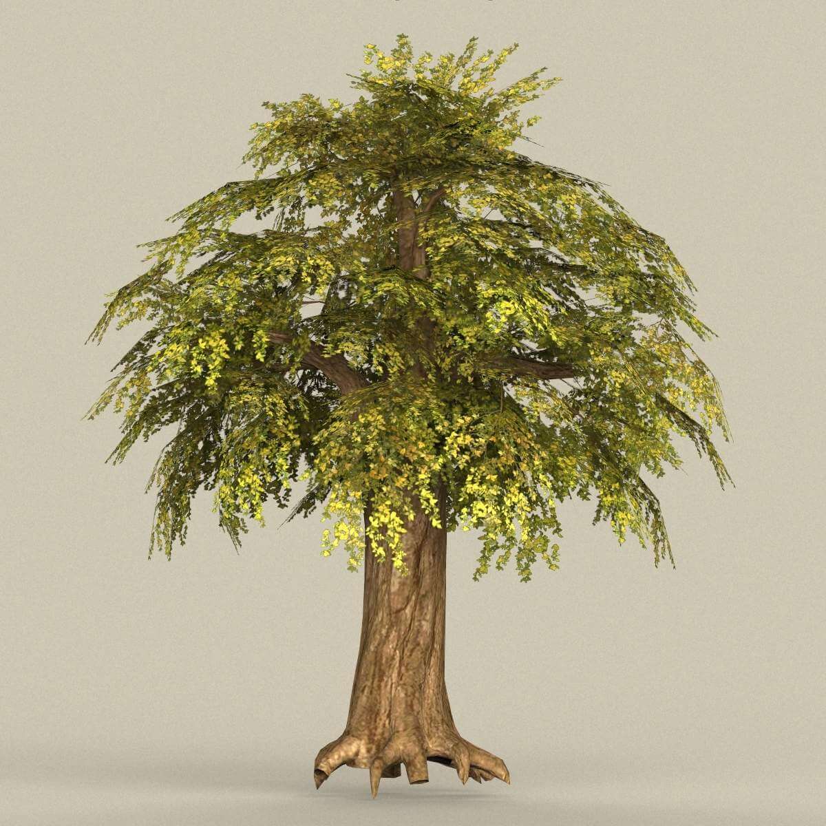 Tree 15 - 3D Model by TreeWorld3d