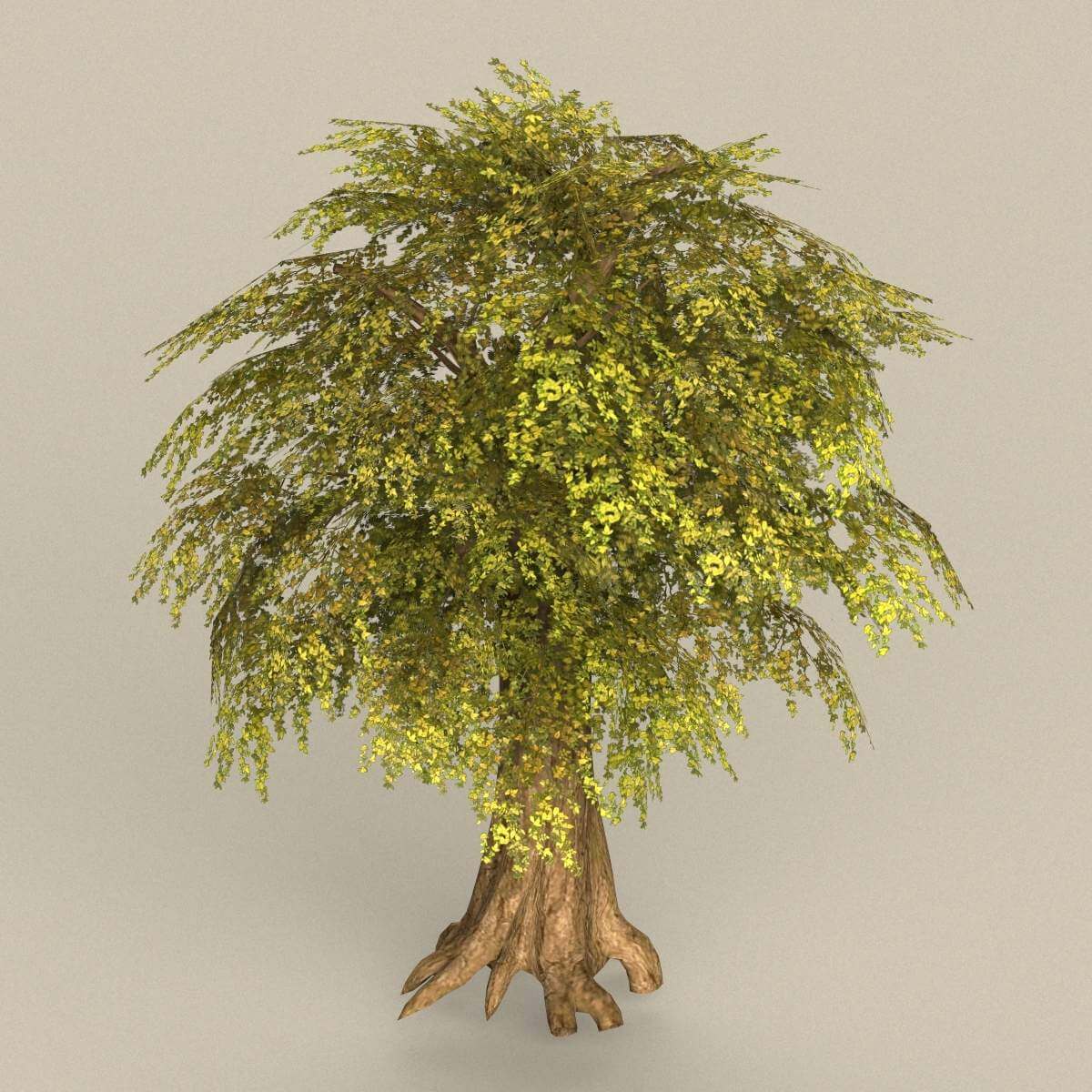 Tree 15 - 3D Model by TreeWorld3d