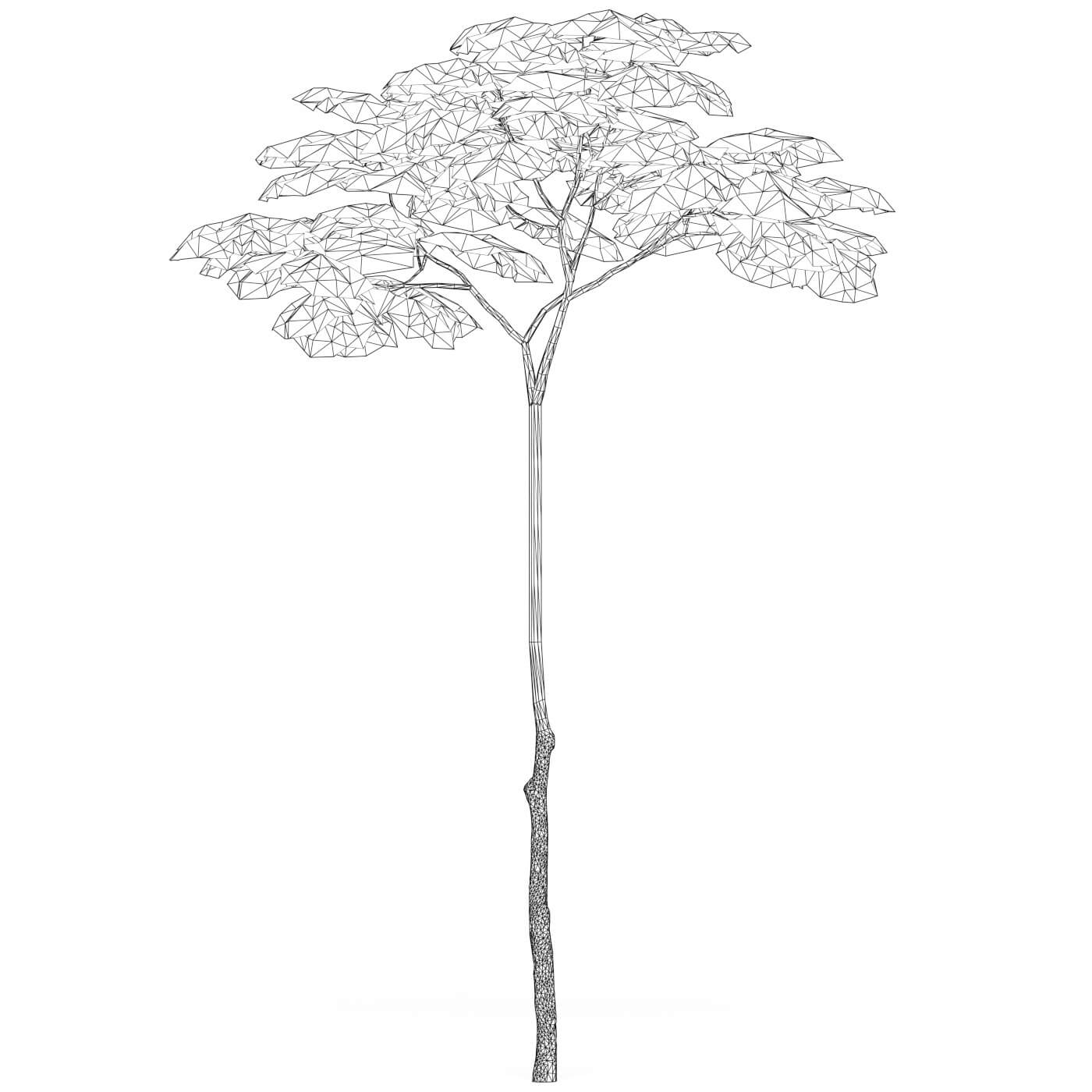 Game Ready Tree 16 - 3D Model by TreeWorld3d