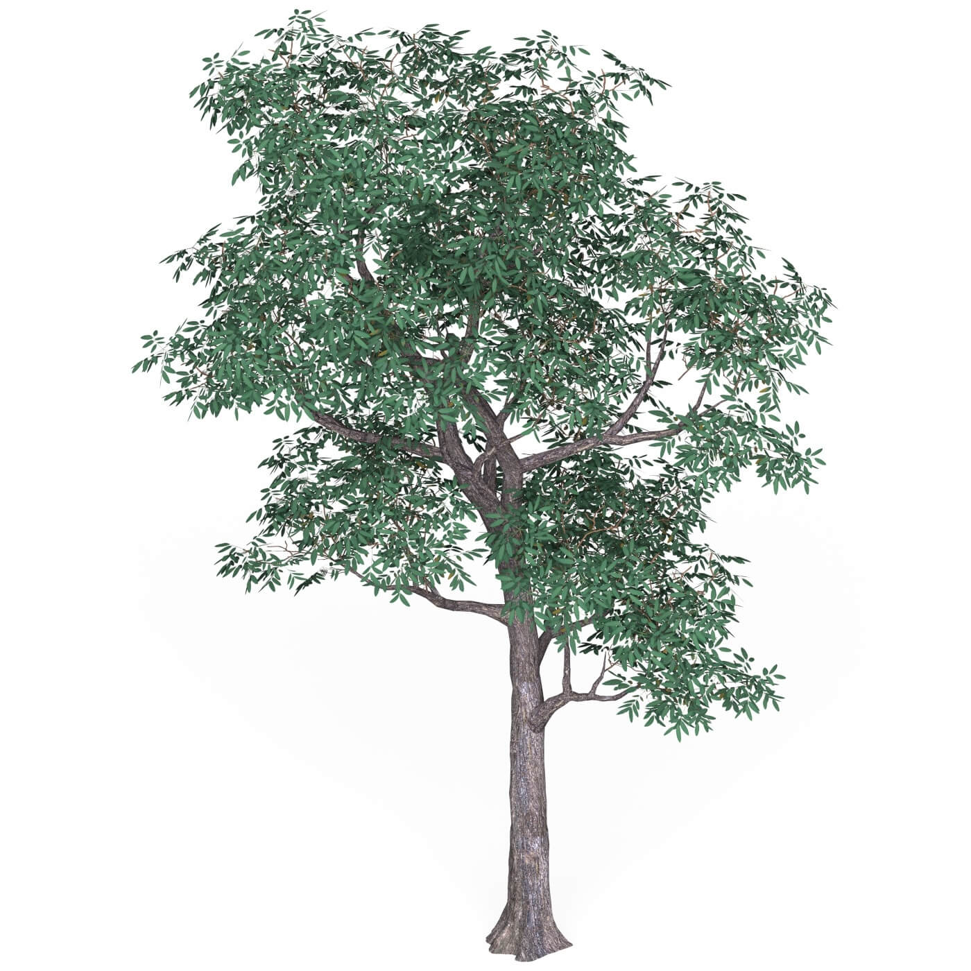 Game Ready Tree 18 - 3D Model by TreeWorld3d