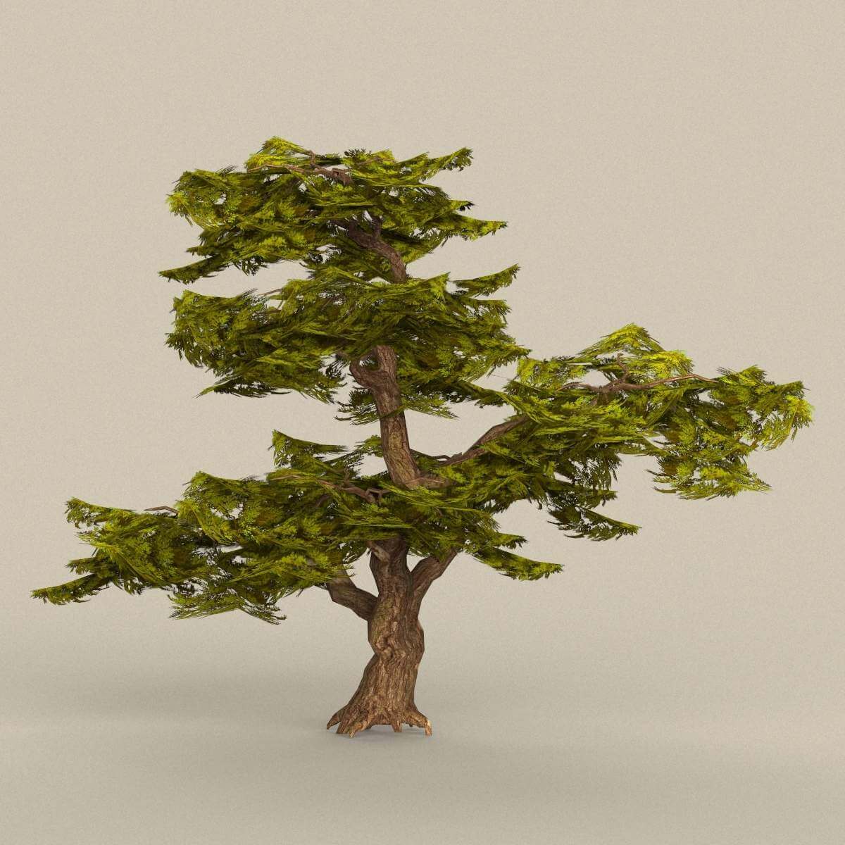Tree 20 - 3D Model by TreeWorld3d