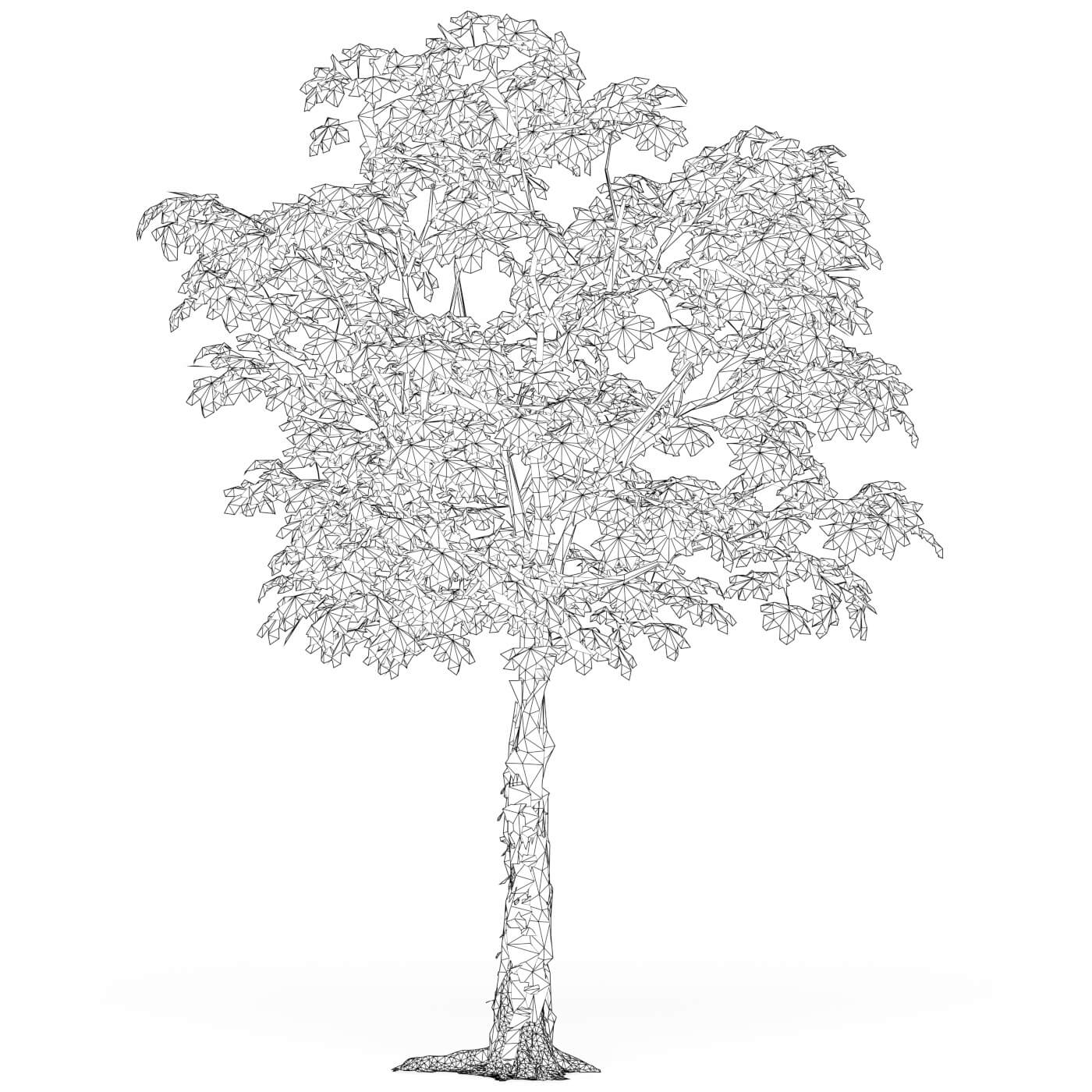 Game Ready Tree 21 - 3D Model by TreeWorld3d