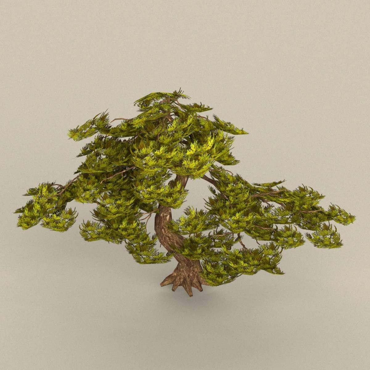 Tree 21 - 3D Model by TreeWorld3d